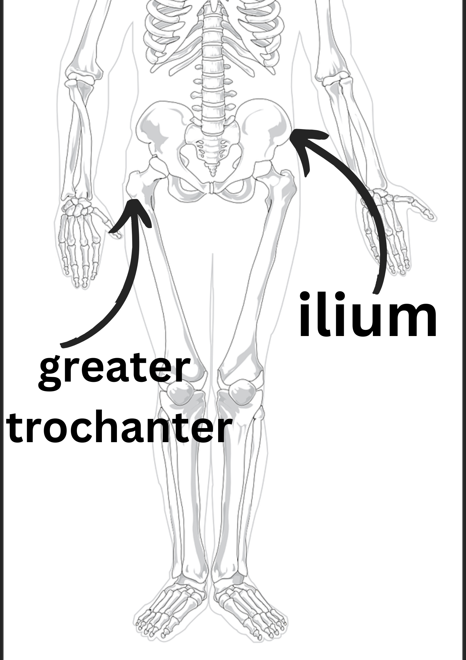 Is turn out limiting the height of your développés? The Ballet Doctor
